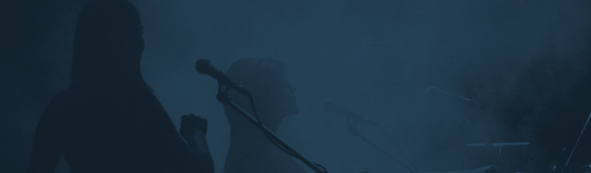 About Us – Blue Frog Studios